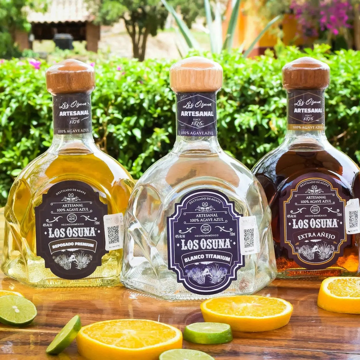 Discover Tequila: Types, Cocktails, and Tips | Quality Liquor Store